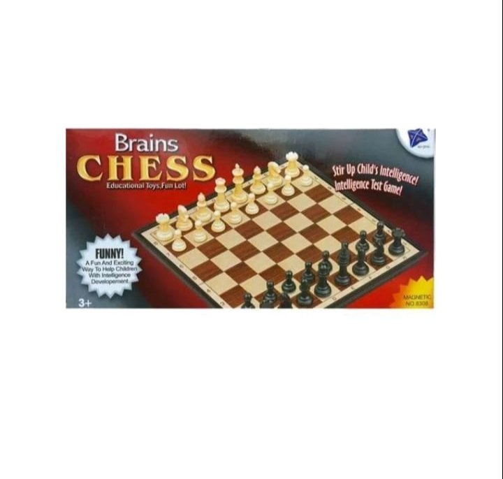 Brains Chess game – Ink Daja